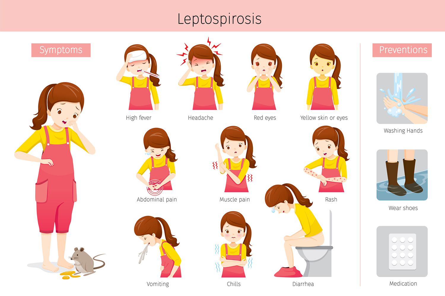 ¿Qué Es La Leptospirosis – Leptospirosis En Animales – RYIDBV